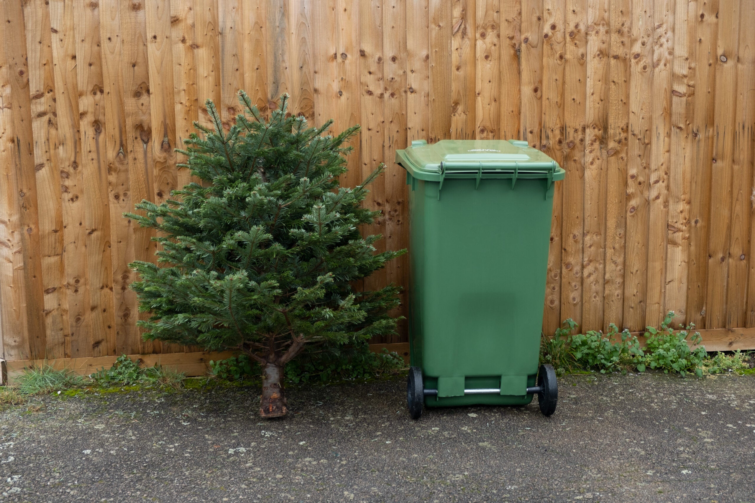 Holiday Recycling Guide: How to Recycle Trees, Lights, and More ...